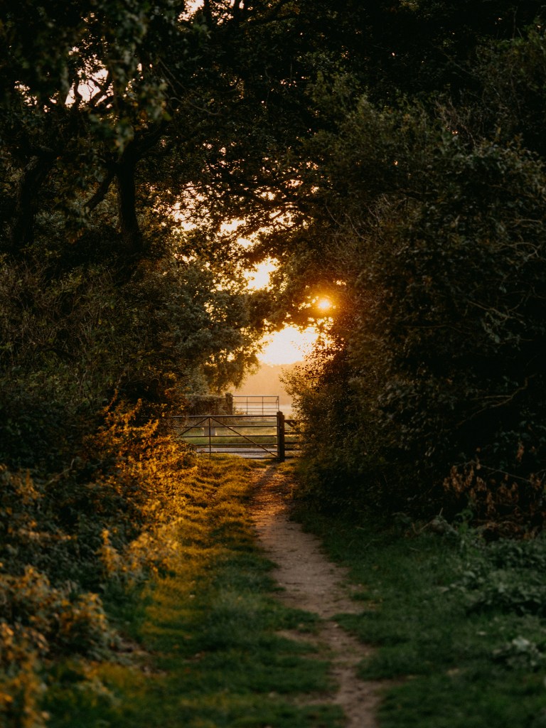 The Discipline of an Open Heart